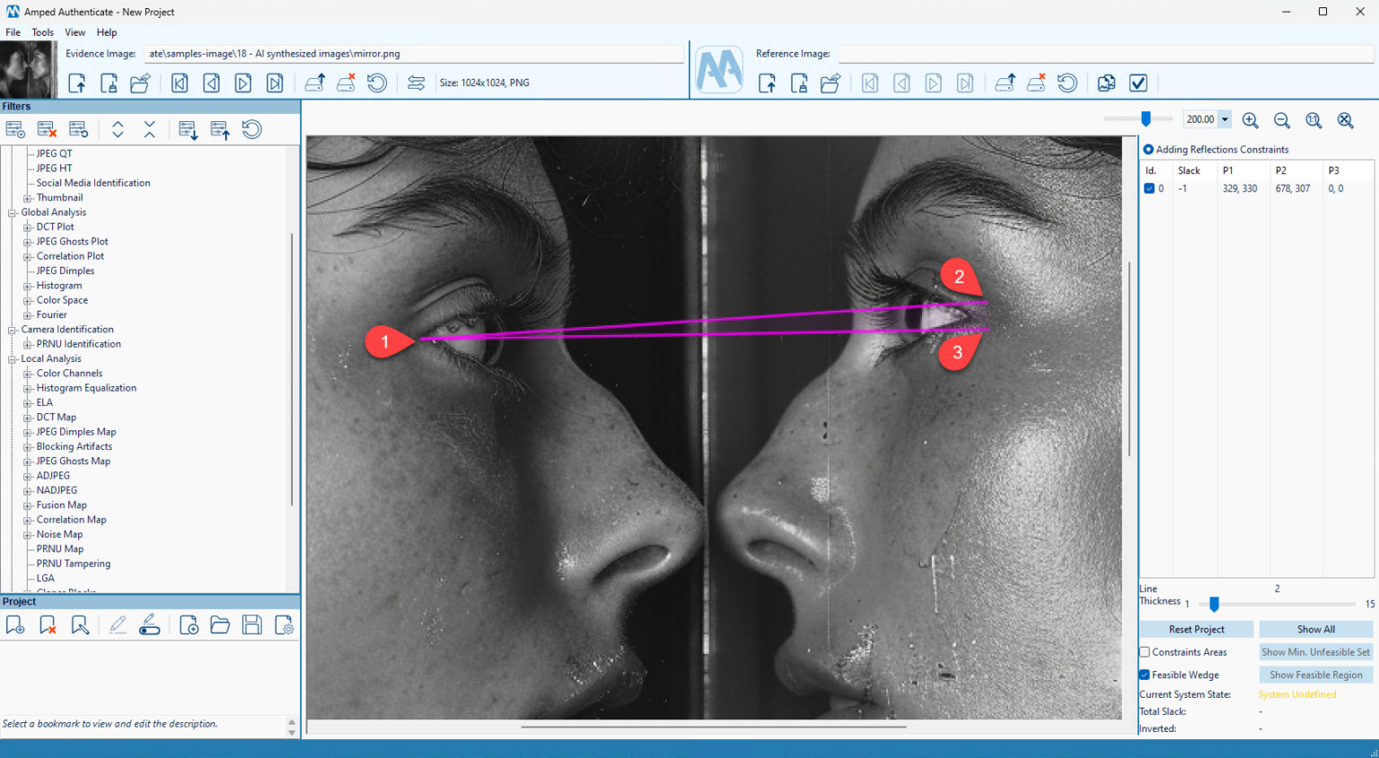 Amped Software Introduces The New Reflections Filter And More Updates ...